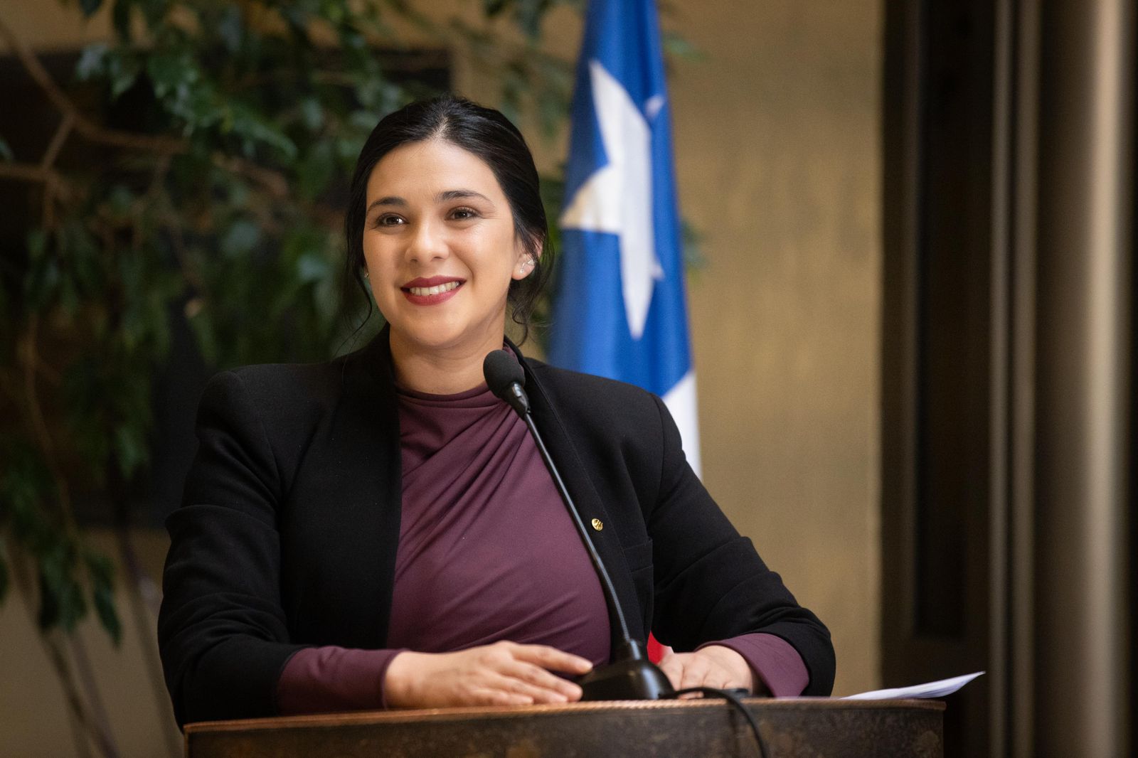 Karol Cariola aseguró que Cámara Baja está disponible a sesionar ...